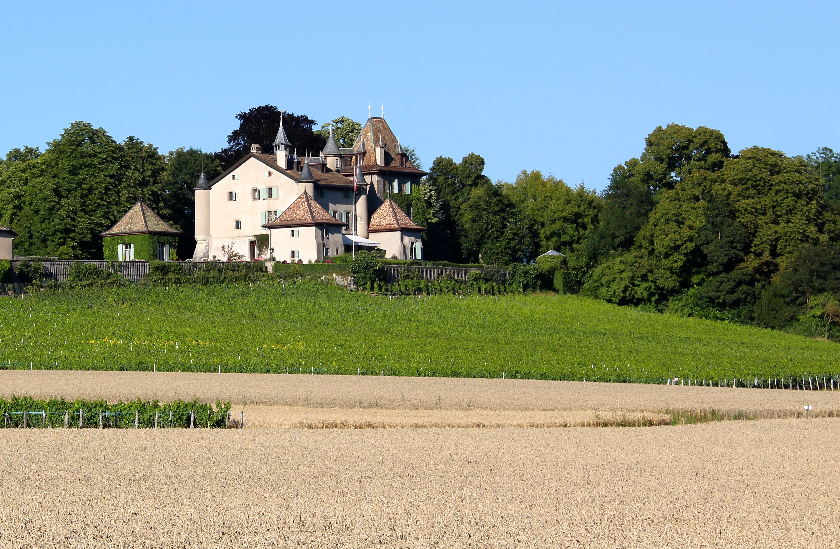 Domaine Château du Crest – Swiss Wine